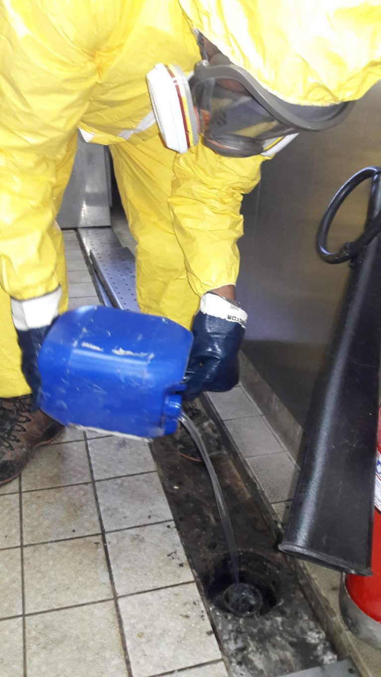 Servicios de Marpro Chile – MARPRO Chile